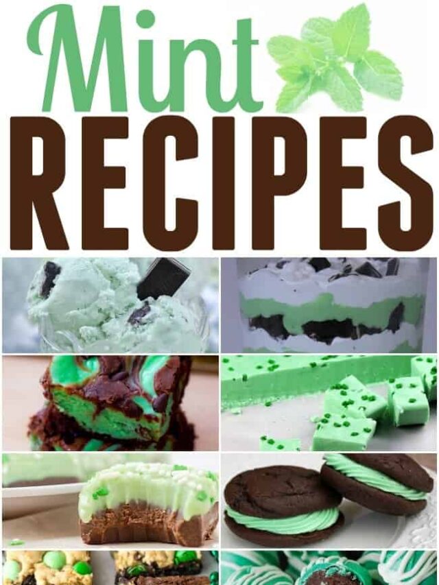 Refreshing Mint Recipes!! | Today's Creative Ideas
