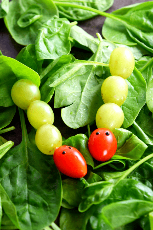 Cute Healthy Snacks for Kids | Today's Creative Ideas