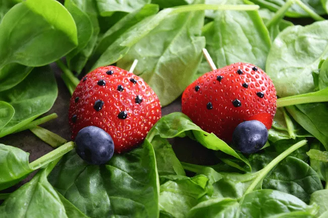 Cute Healthy Snacks for Kids | Today's Creative Ideas