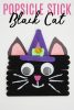 Popsicle Stick Black Cat | Today's Creative Ideas