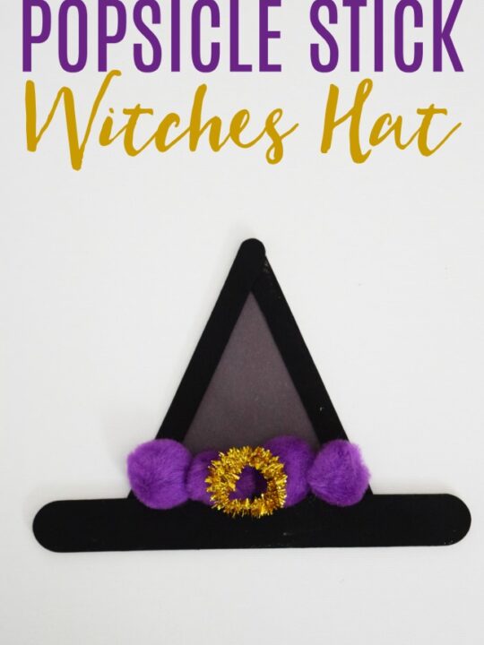 Popsicle Stick Sugar Skull - Day of the Dead / Coco Movie Craft