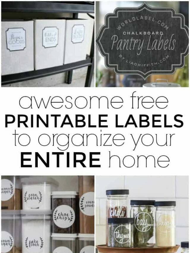 Free Printable Labels for Just About Everything | Today's Creative Ideas