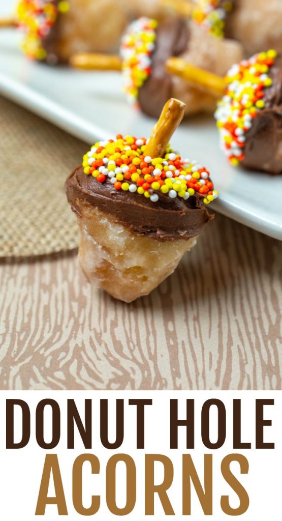 How to make Donut Hole Acorns! | Today's Creative Ideas