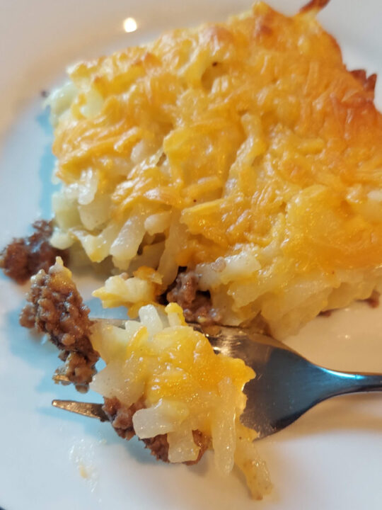 Green Eggs and Ham Paper Plate Craft | + Free Printable