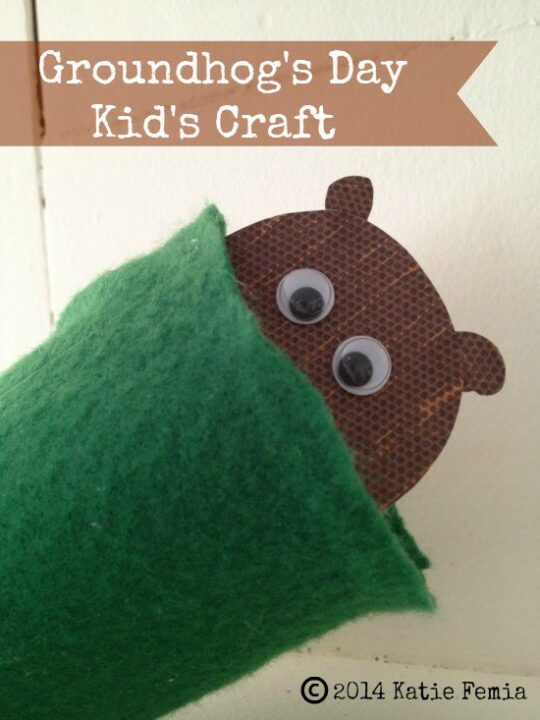 12+ Easy Groundhog Day Crafts for Preschoolers