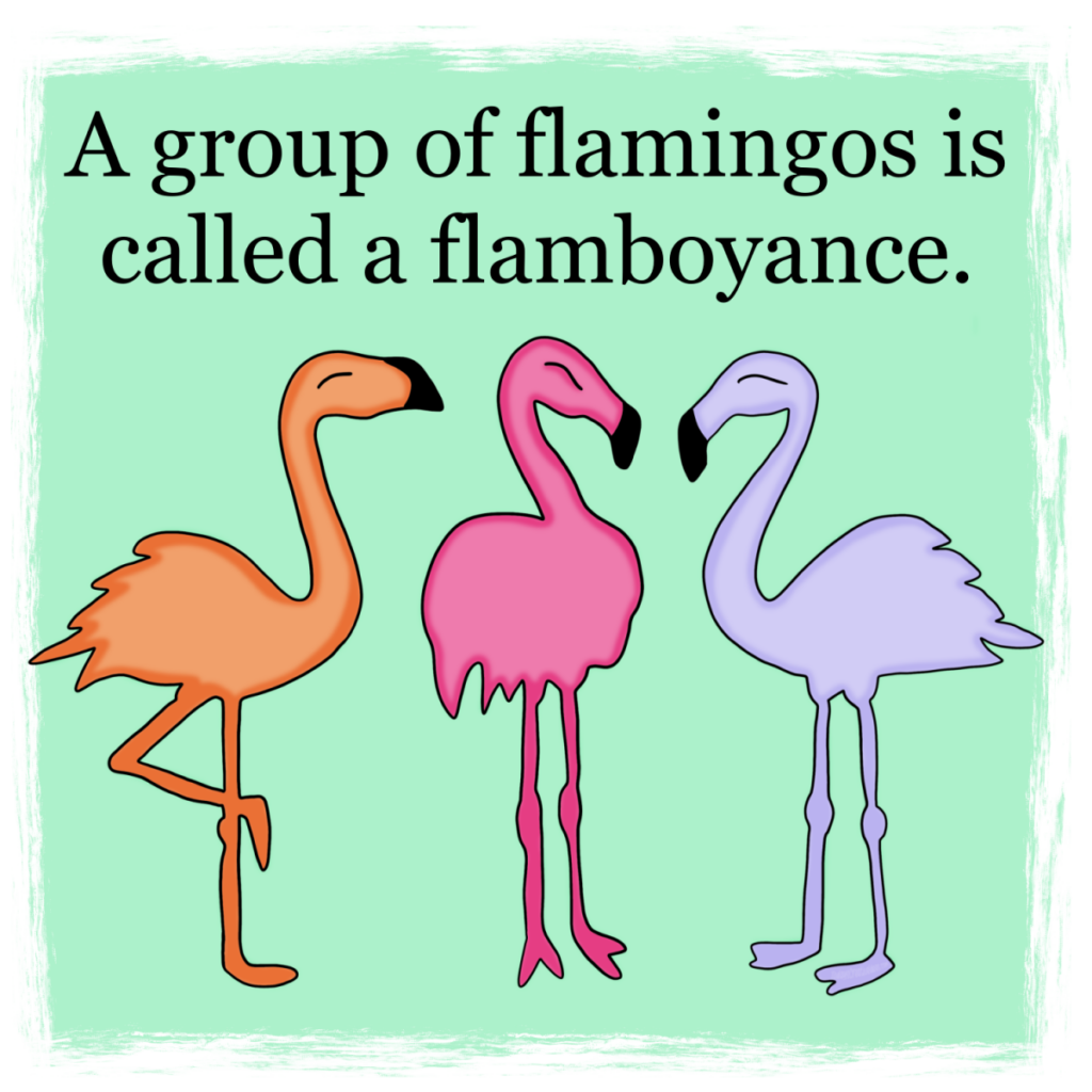 110 Fascinating and Fun Facts About Animals