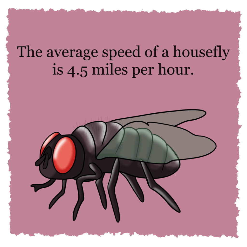 110 Fascinating and Fun Facts About Animals