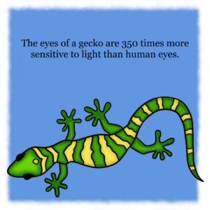 110 Fascinating and Fun Facts About Animals