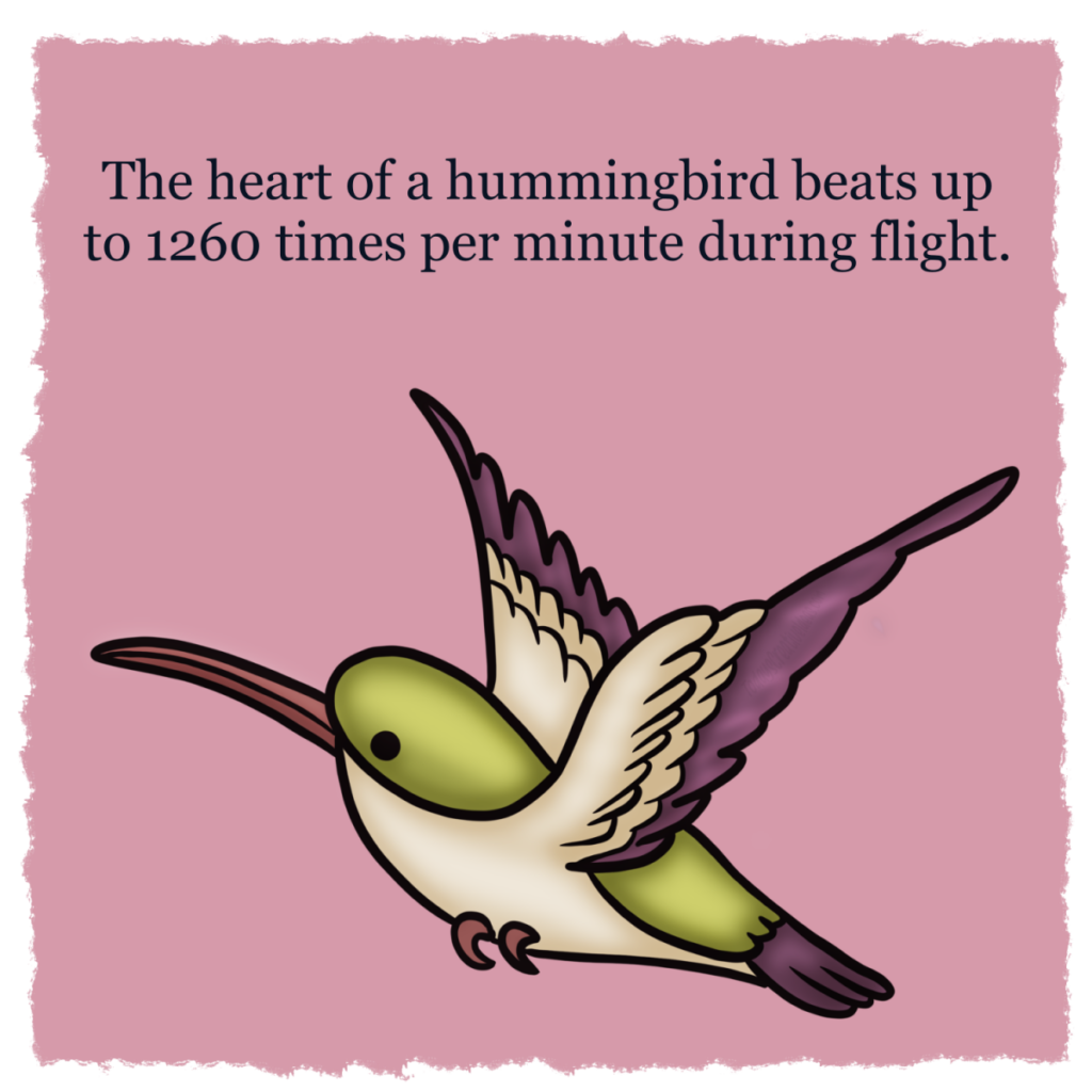 110 Fascinating and Fun Facts About Animals