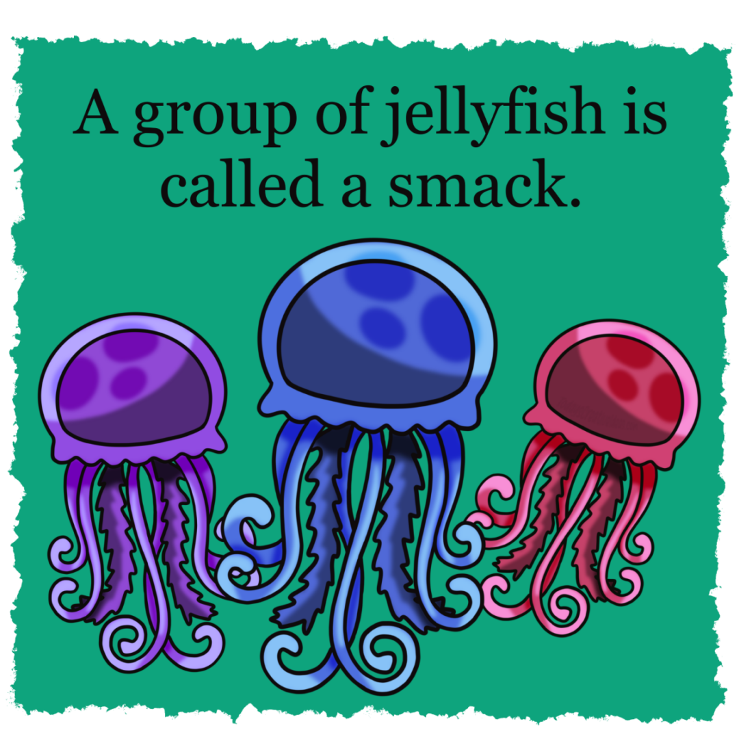 110 Fascinating and Fun Facts About Animals
