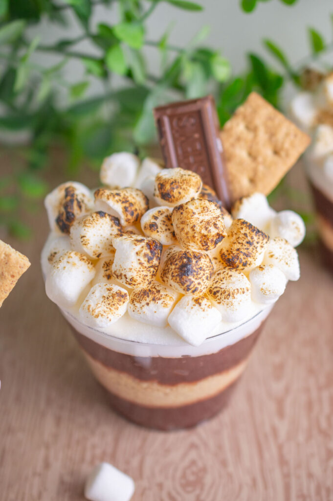 Toasted S’mores Parfaits (No Bake Recipe)