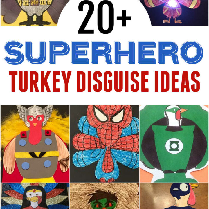 17+ How to Disguise a Turkey Project Ideas for School!